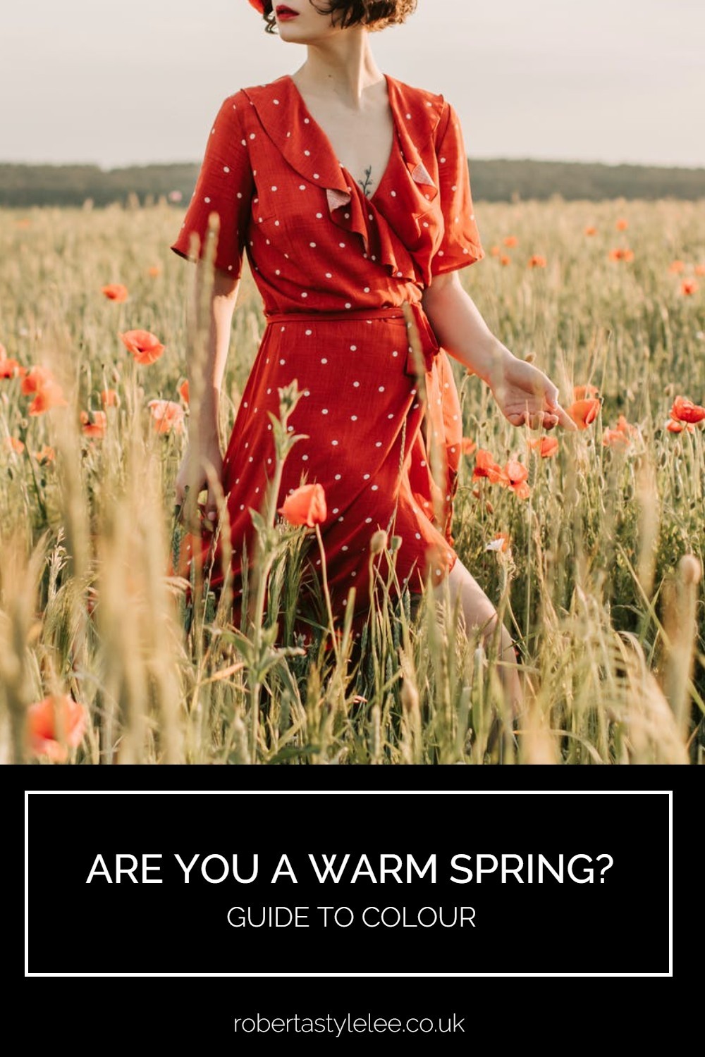 Warm Spring: Colour Analysis Guide - Roberta Lee - The Sustainable Stylist